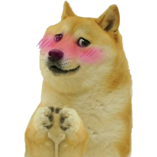 Sticker Maker - PERRITO