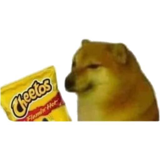 Sticker Maker - PERRITO