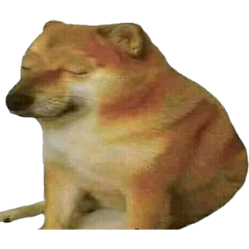 Sticker Maker - PERRITO