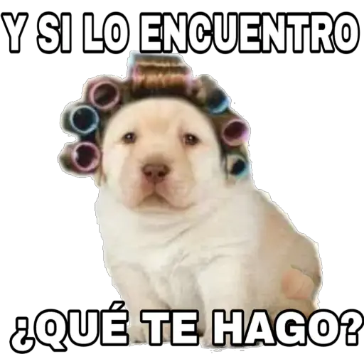 Sticker Maker - Perrito Sad 1