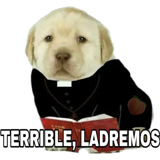 Sticker Maker - Perrito Sad 1