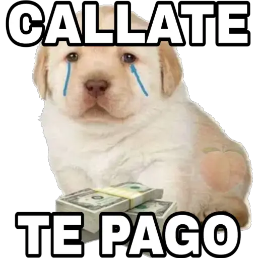 Sticker Maker - Perrito Sad 3