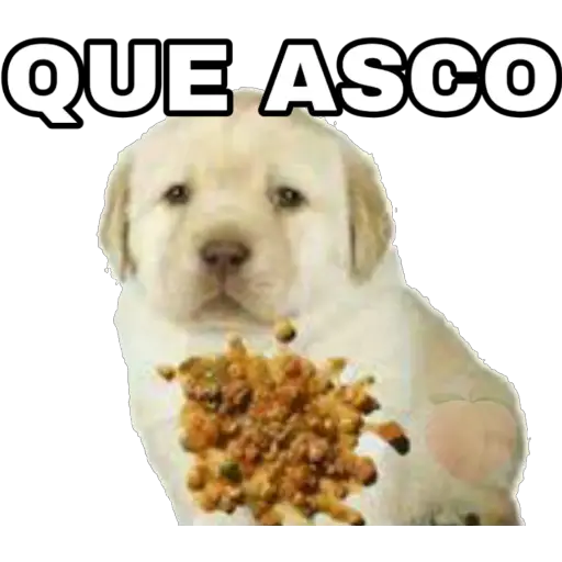 Sticker Maker - Perrito Sad 3