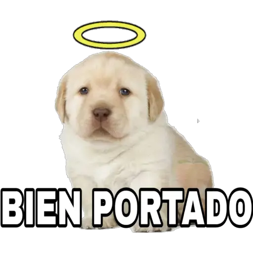 Sticker Maker - Perrito Sad 3