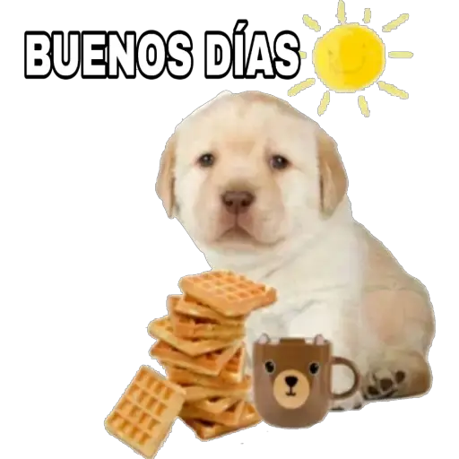 Sticker Maker - Perrito Sad 3