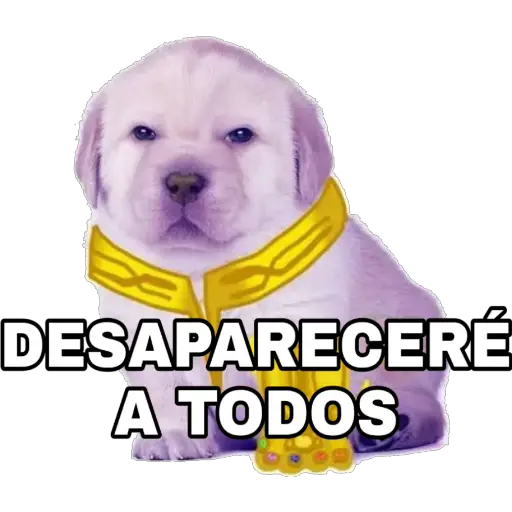 Sticker Maker - Perrito Sad 3