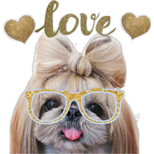 Sticker Maker - perrito ? ShihTzu