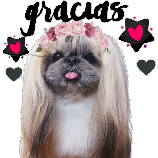 Sticker Maker - perrito ? ShihTzu