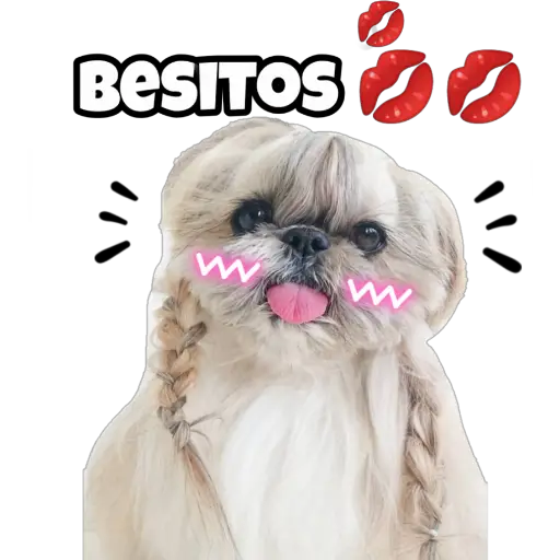 Sticker Maker - perrito ? ShihTzu