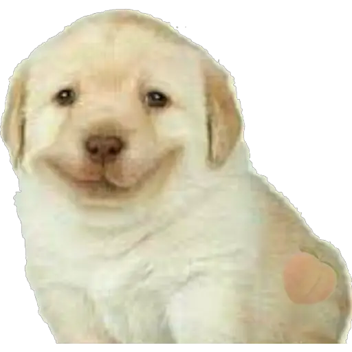 Sticker Maker - Perrito Triste 1