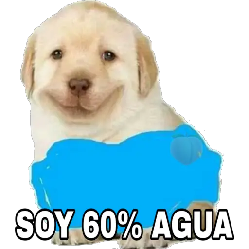 Sticker Maker - Perrito Triste 1