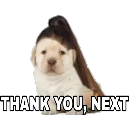Sticker Maker - Perrito Triste 1