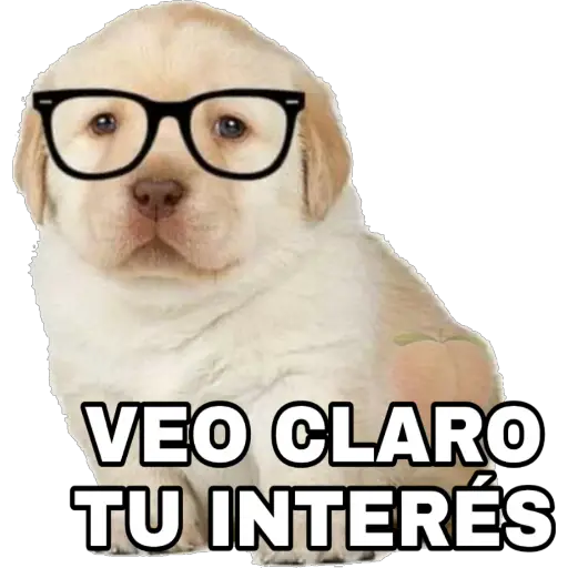 Sticker Maker - Perrito Triste 2