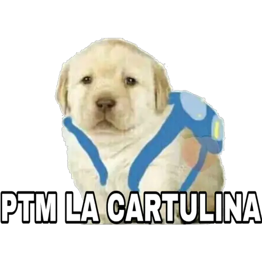 Sticker Maker - Perrito Triste 2