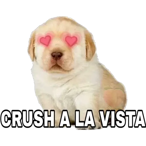 Sticker Maker - Perrito Triste 3