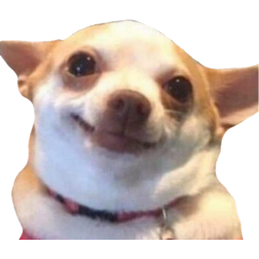 Sticker Maker - Perritos