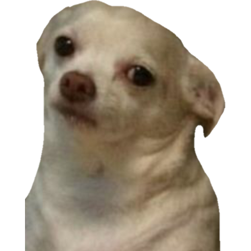 Sticker Maker - Perritos