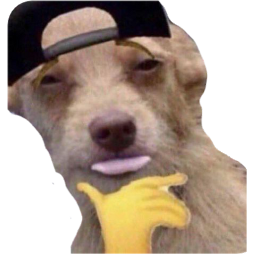 Sticker Maker - Perritos