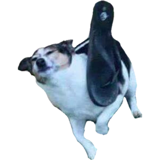 Sticker Maker - Perritos