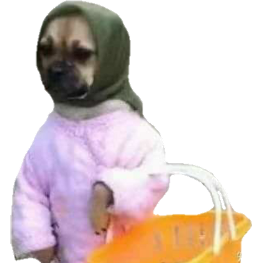 Sticker Maker - Perritos