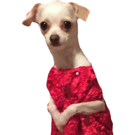 Sticker Maker - Perritos