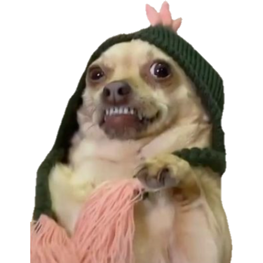 Sticker Maker - Perritos