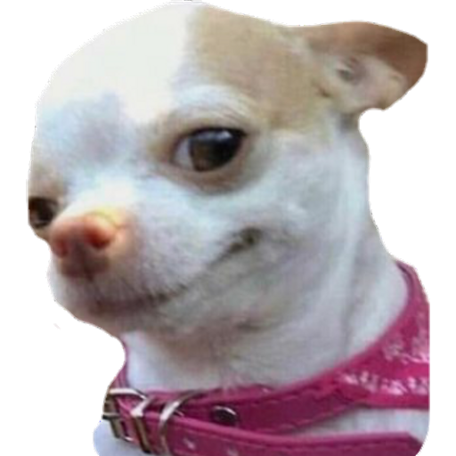 Sticker Maker - Perritos