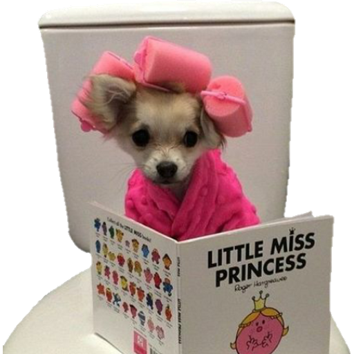 Sticker Maker - Perritos