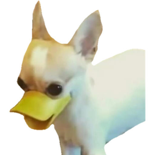 Sticker Maker - Perritos