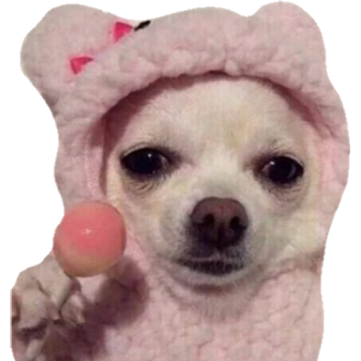 Sticker Maker - Perritos