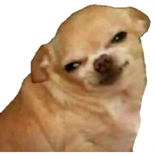 Sticker Maker - Perritos
