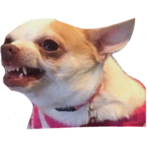 Sticker Maker - Perritos Sticker Maker - Perritos