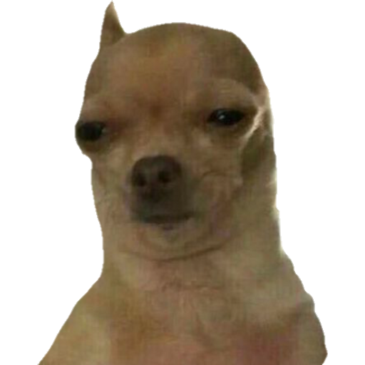 Sticker Maker - Perritos