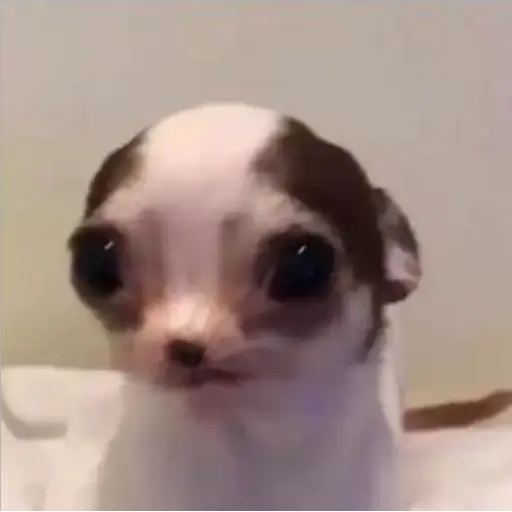 Sticker Maker - Perritos