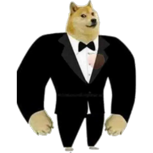 Sticker Maker - Perros Memes