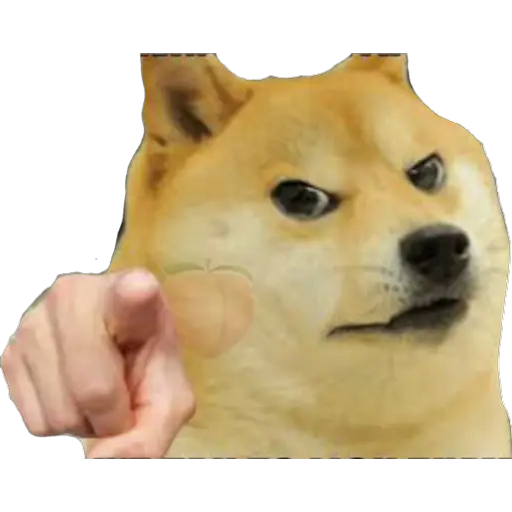Sticker Maker - Perros Memes