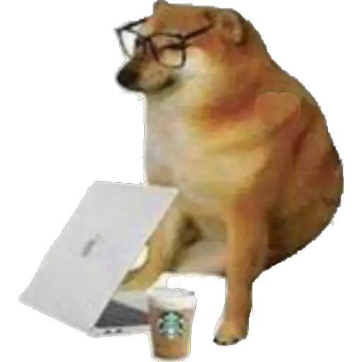 Sticker Maker - Perros Memes