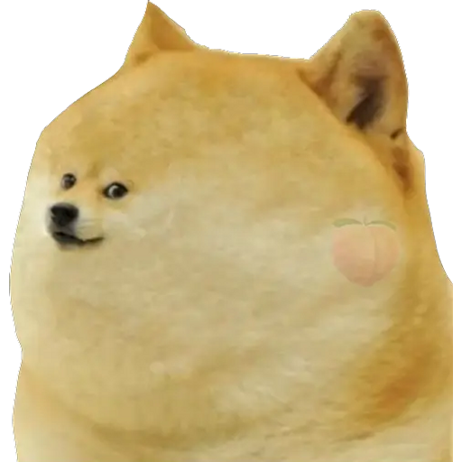 Sticker Maker - Perros Memes