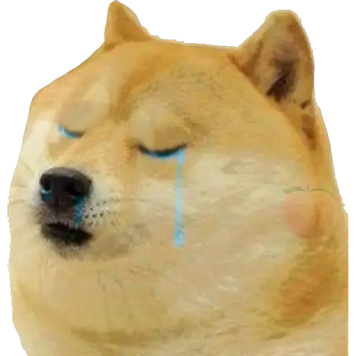 Sticker Maker - Perros Memes
