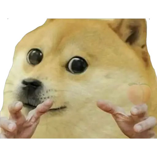 Sticker Maker - Perros Memes