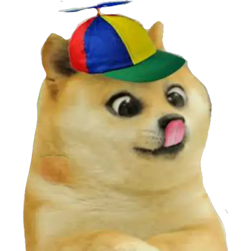 Sticker Maker - Perros Memes