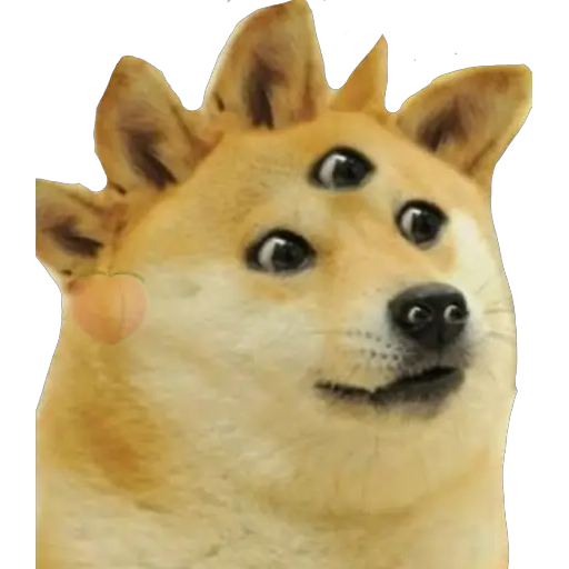 Sticker Maker - Perros Memes