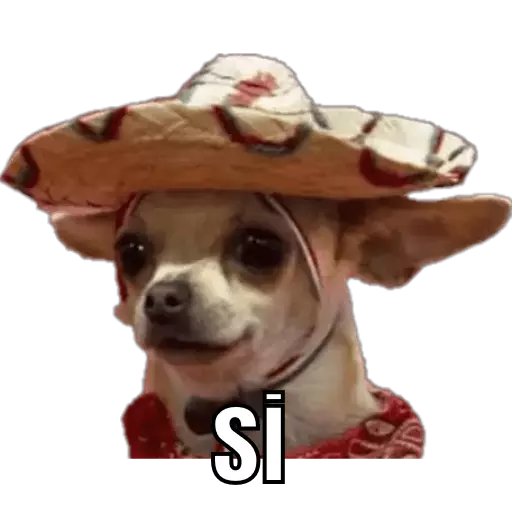 Sticker Maker - Perros