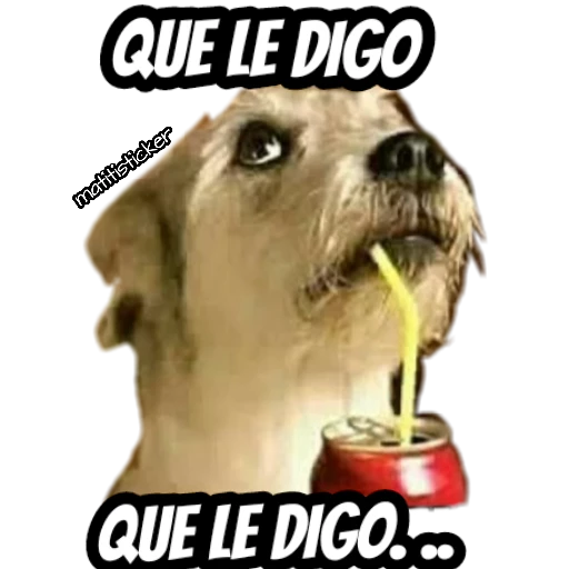 Sticker Maker - Perros