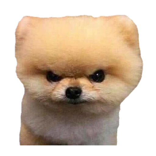 Sticker Maker - Perros