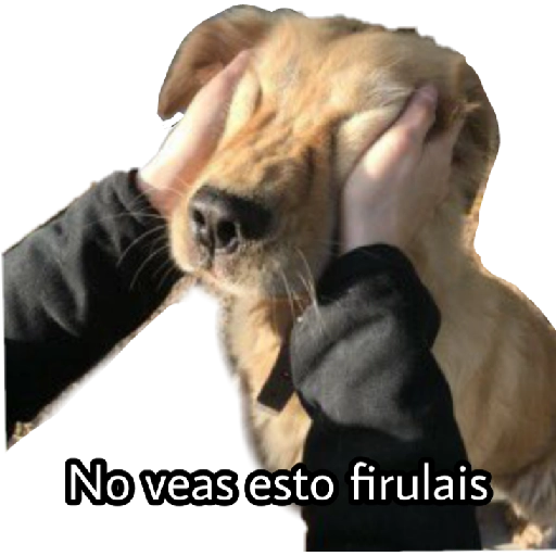 Sticker Maker - Perros