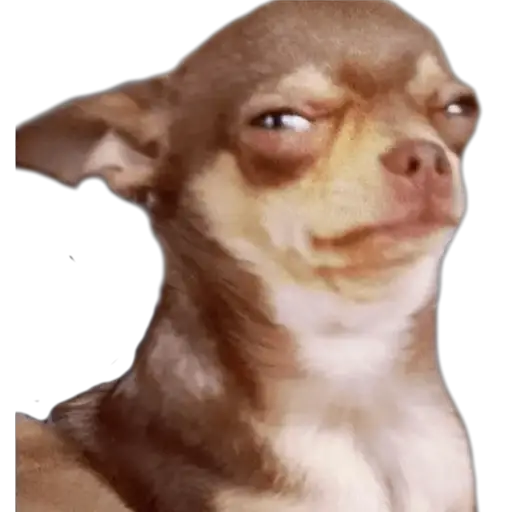 Sticker Maker - Perros