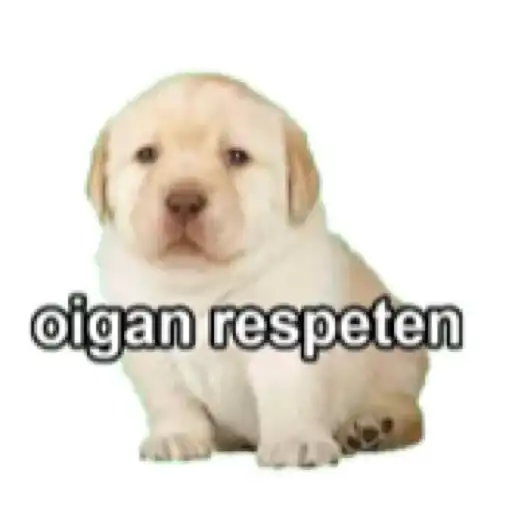 Sticker Maker - Perros