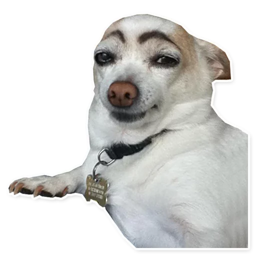 Sticker Maker - Perros