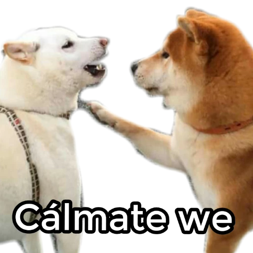 Sticker Maker - Perros